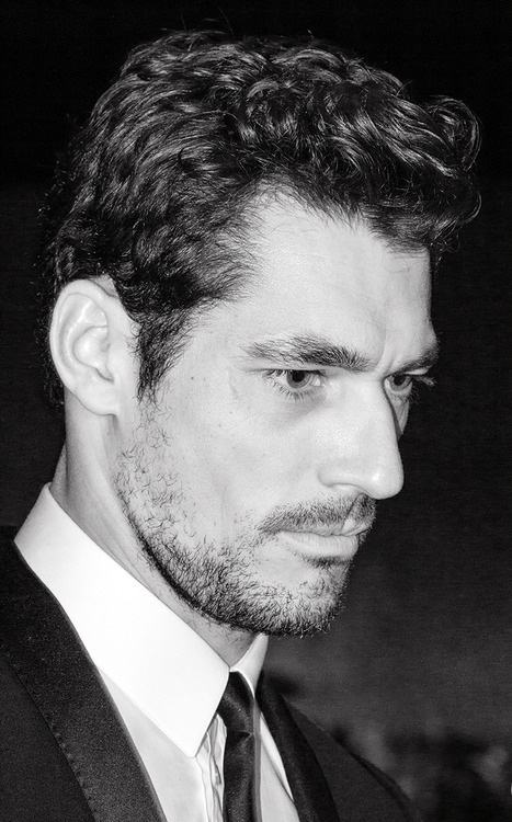 Picture of David Gandy