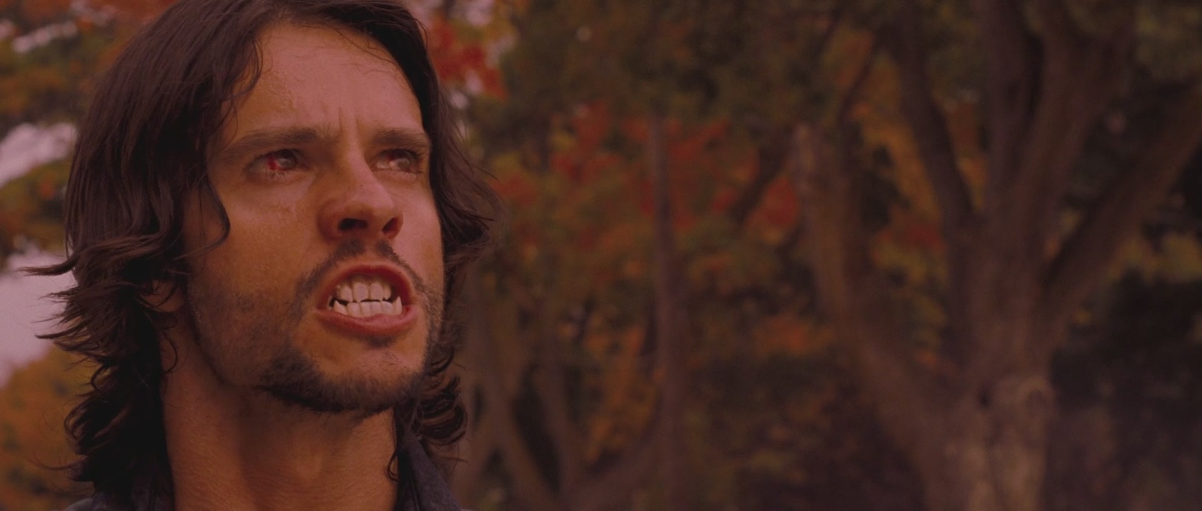 Picture of Skinwalkers