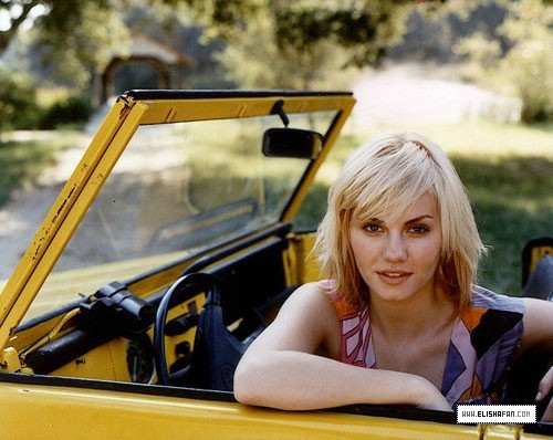 Picture of Elisha Cuthbert