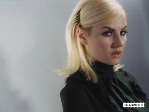Picture of Elisha Cuthbert