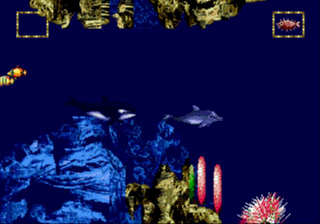 Ecco Jr. image