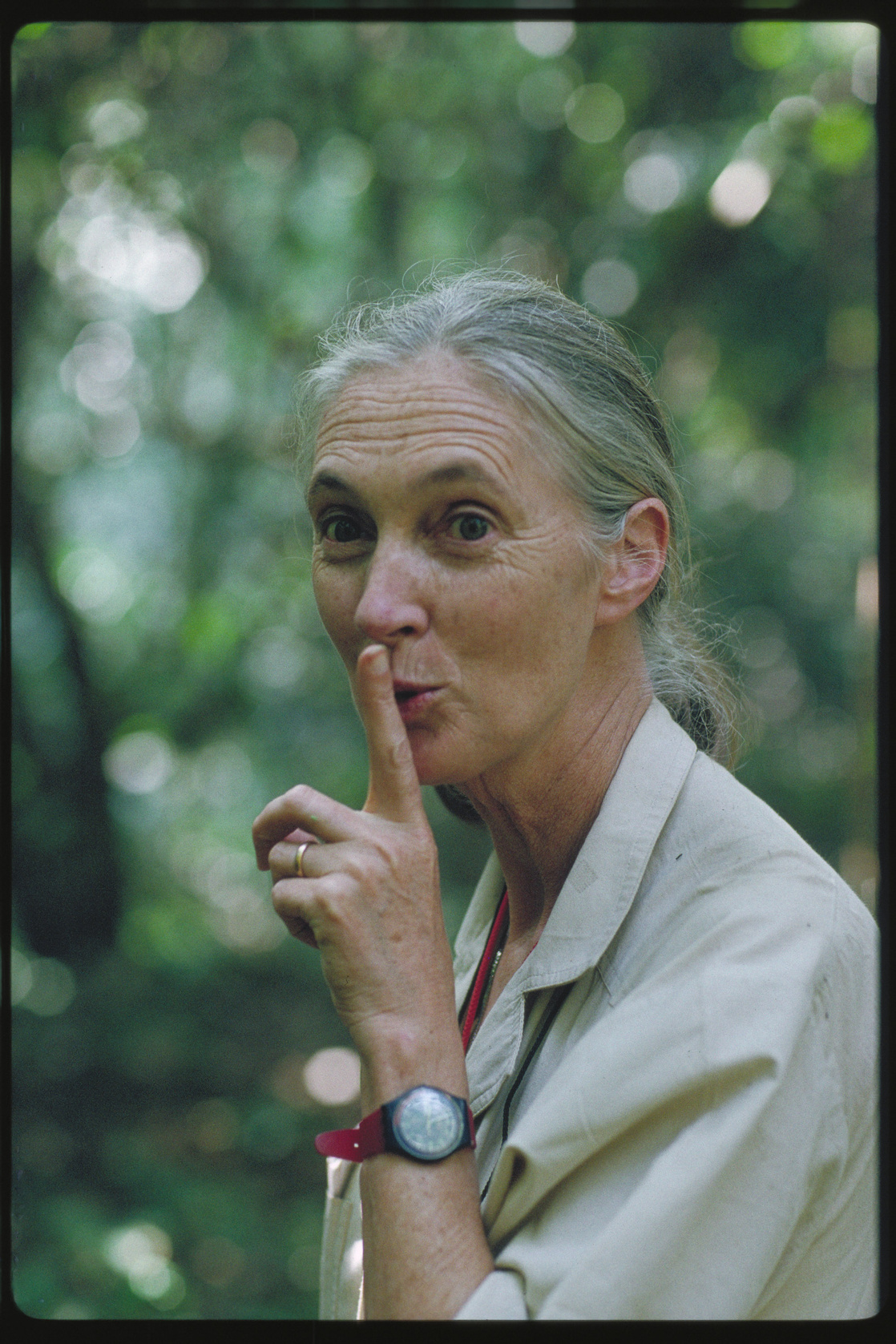 Picture of Jane Goodall