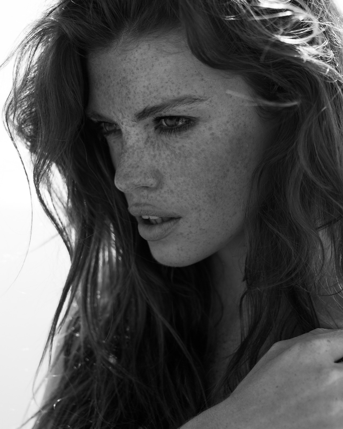Kate Potter image