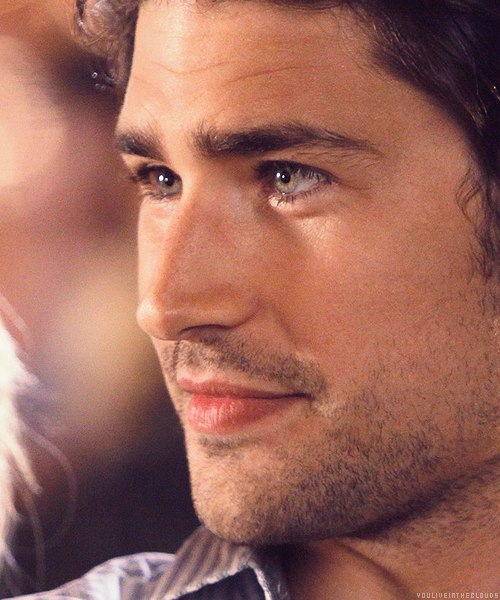 Picture of Matt Dallas