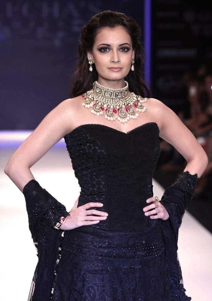 Picture of Diya Mirza