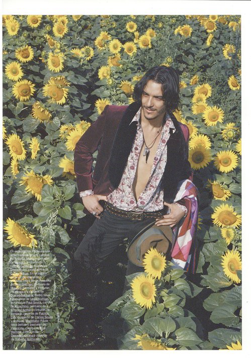 Pedro Perestrello picture