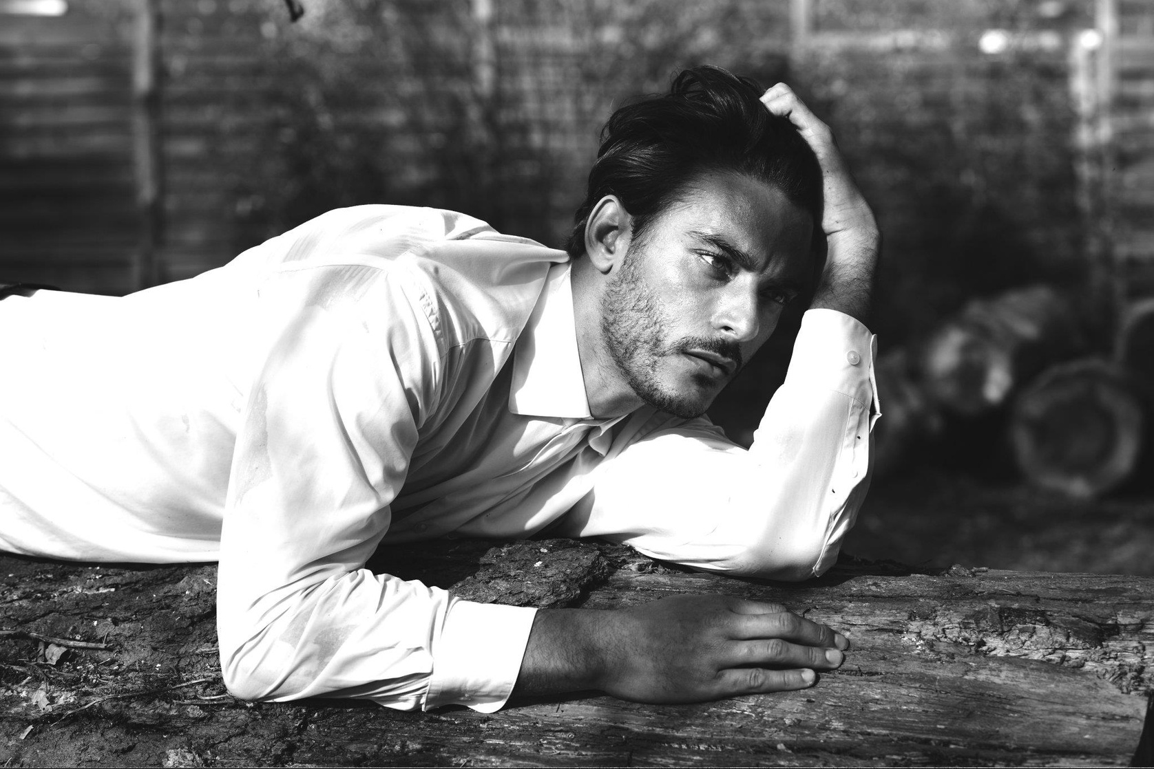 Pedro Perestrello image