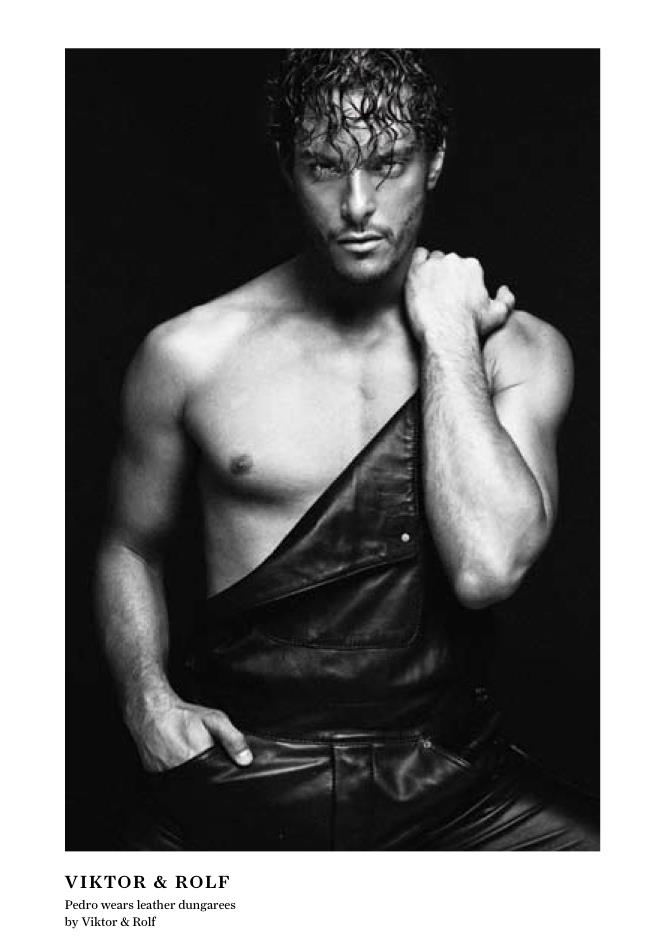 Pedro Perestrello image