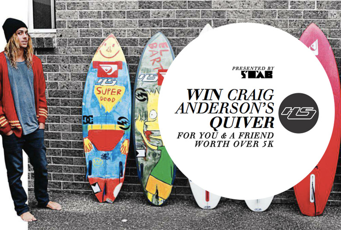 Craig Anderson image