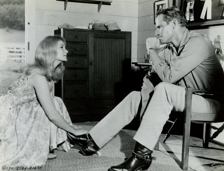 Picture of Diamond Head