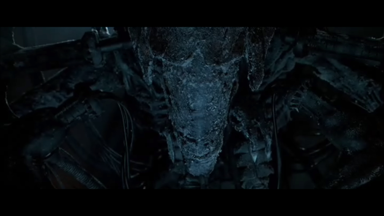 Picture of AVP: Alien vs. Predator