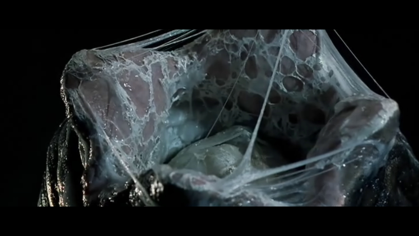 Image of AVP: Alien vs. Predator