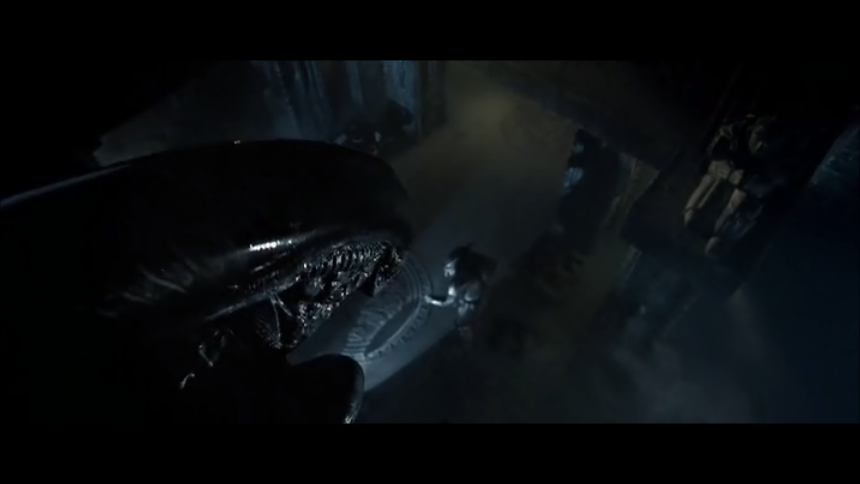 Picture of AVP: Alien vs. Predator