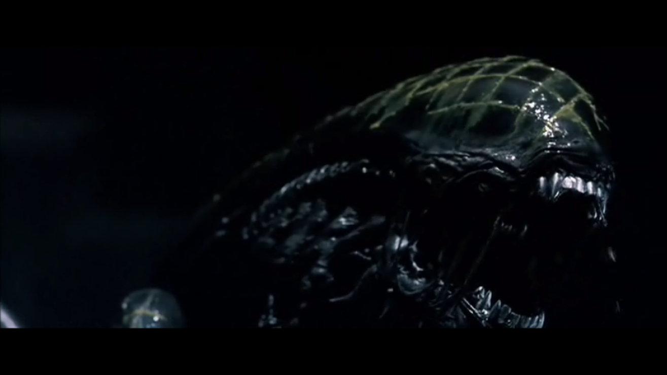 Picture of AVP: Alien vs. Predator