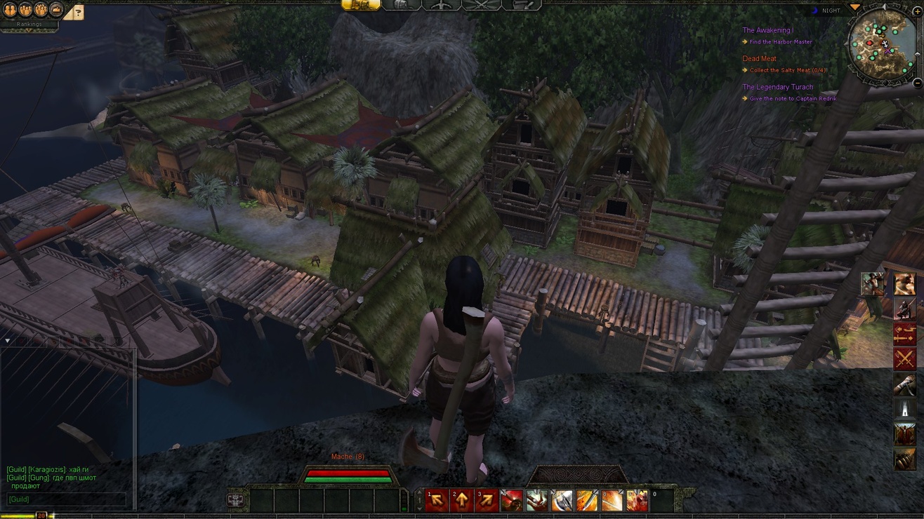 Age of Conan: Hyborian Adventures picture