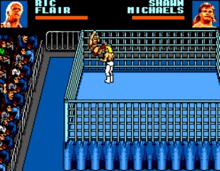 Picture of WWF Wrestlemania: Steel Cage Challenge