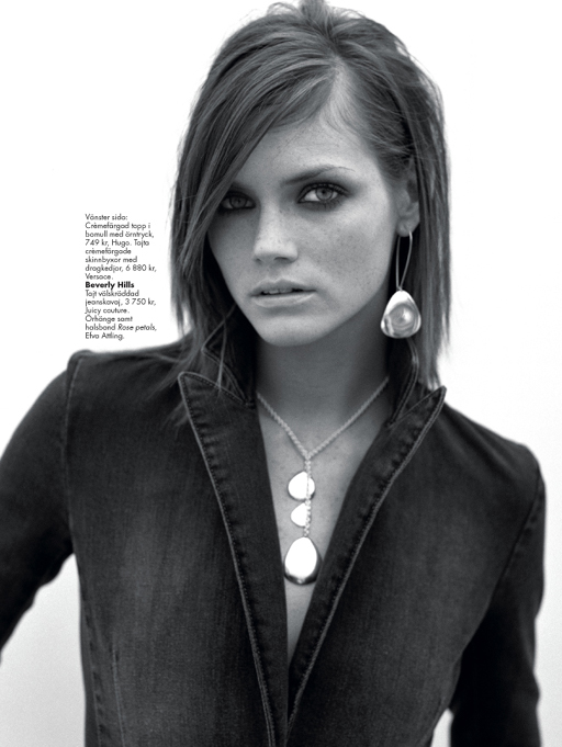 Picture of Mini Anden