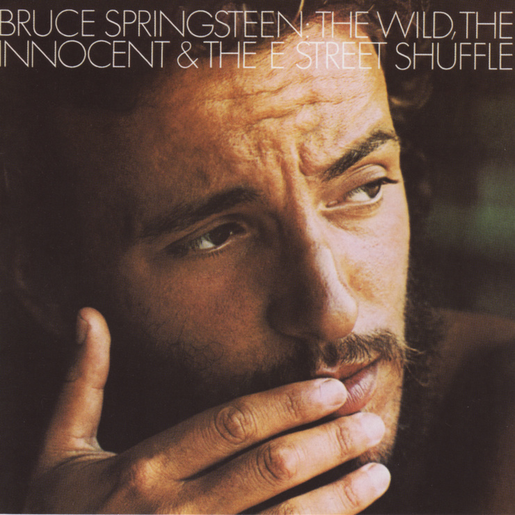 Picture of Bruce Springsteen