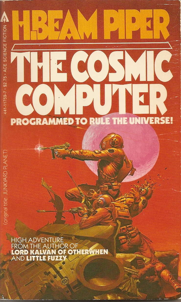 Picture of The Cosmic Computer