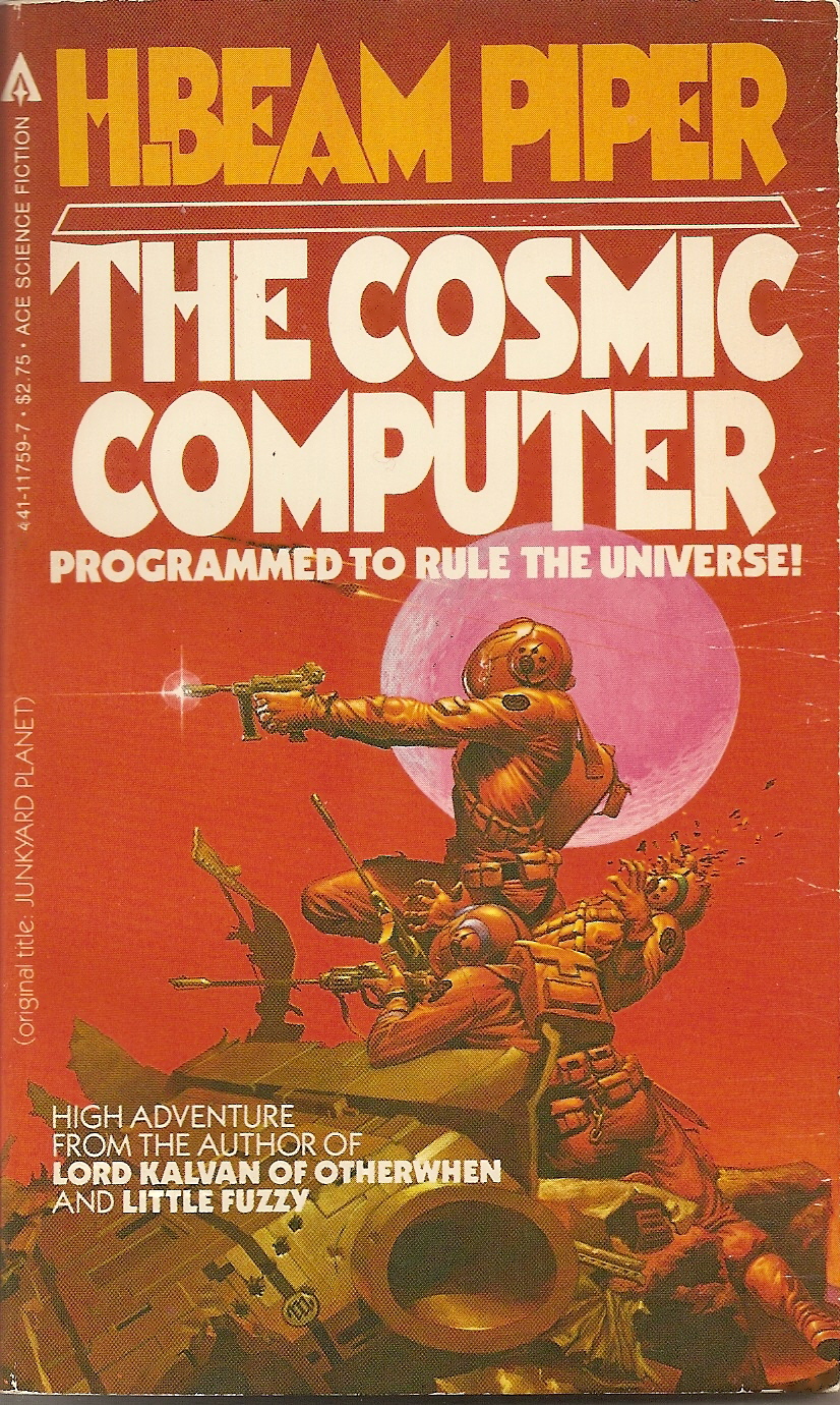 Picture of The Cosmic Computer