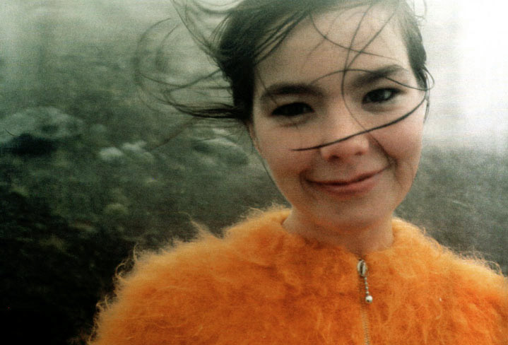 Picture of Björk