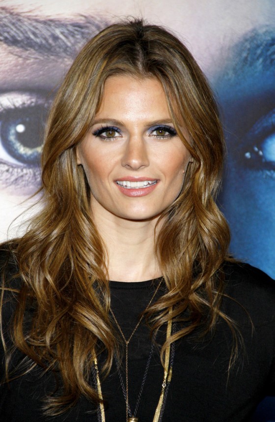 Picture of Stana Katic