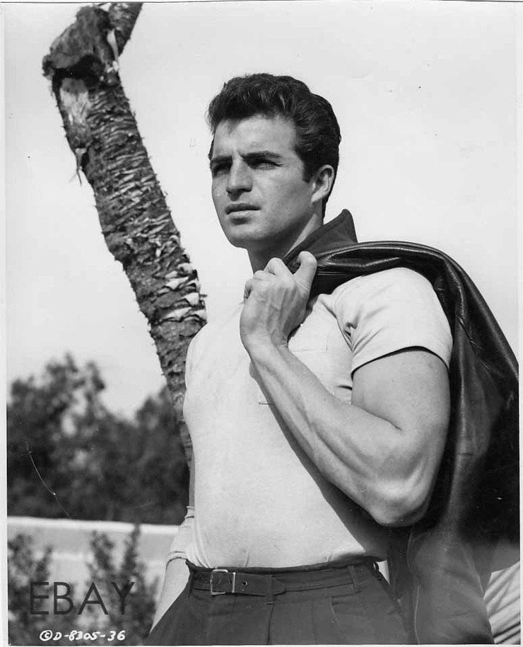 Image of Vince Edwards