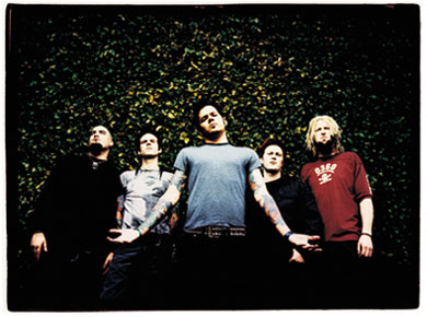 Picture of Adema
