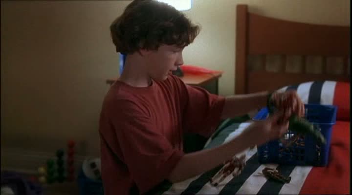 Hal Scardino - L'Indien Du Placard