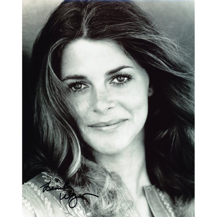 Picture Of Lindsay Wagner