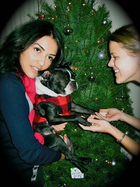 Michelle Glavan image