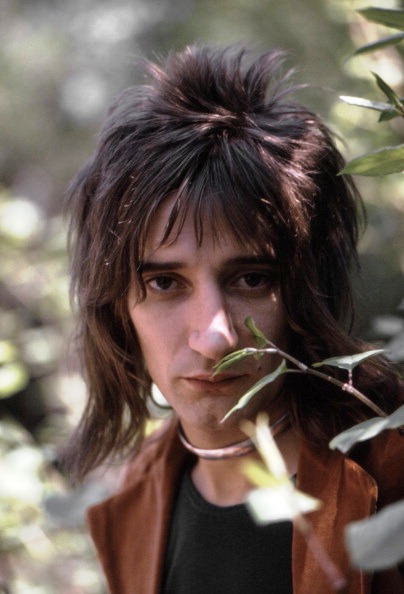 Picture of Rod Stewart