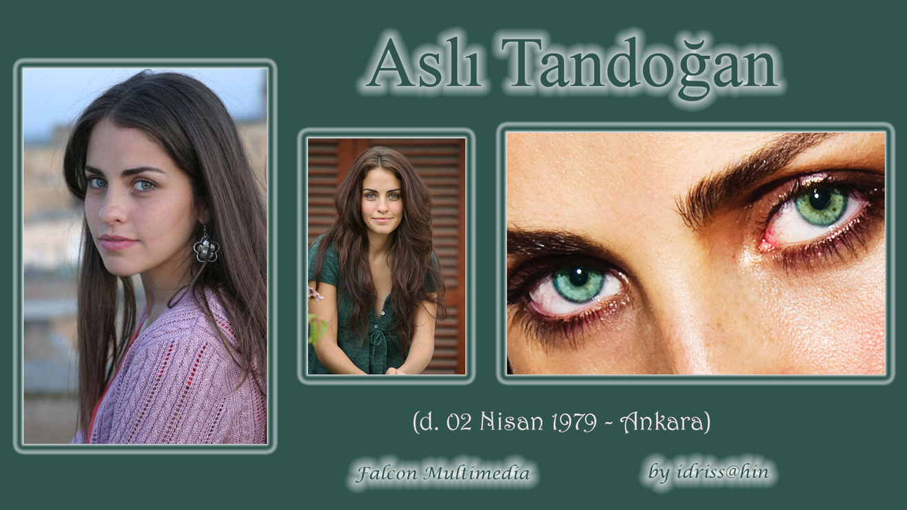 Picture of Asli Tandogan