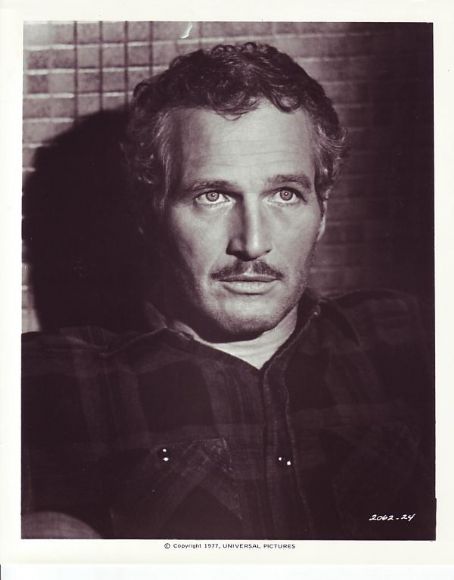 Picture of The Sting