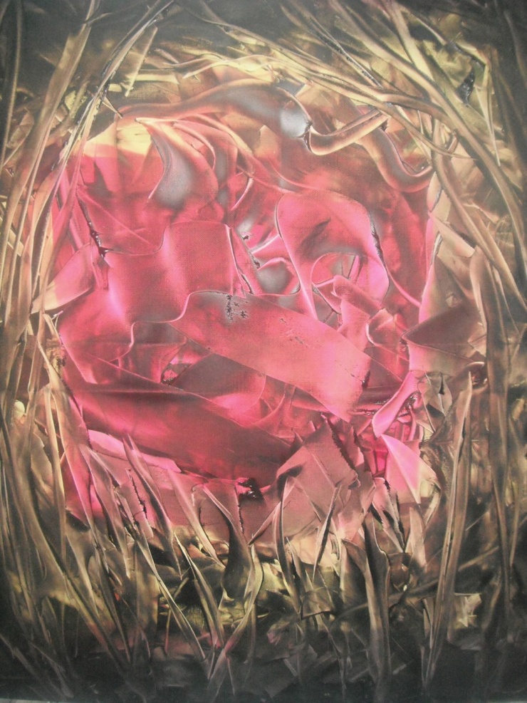 Didier Figent picture