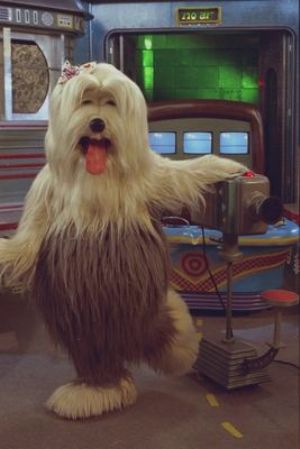 Picture of TV Colosso