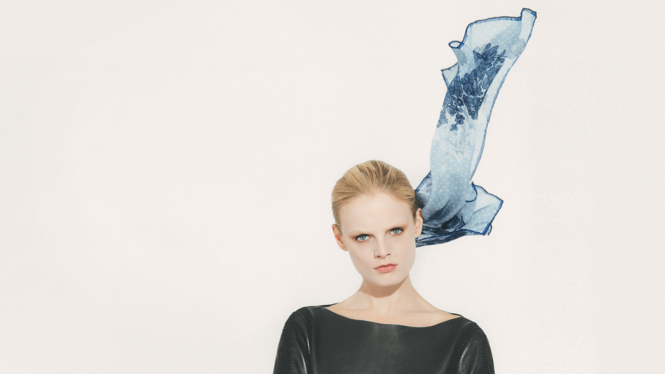 Hanne Gaby Odiele image
