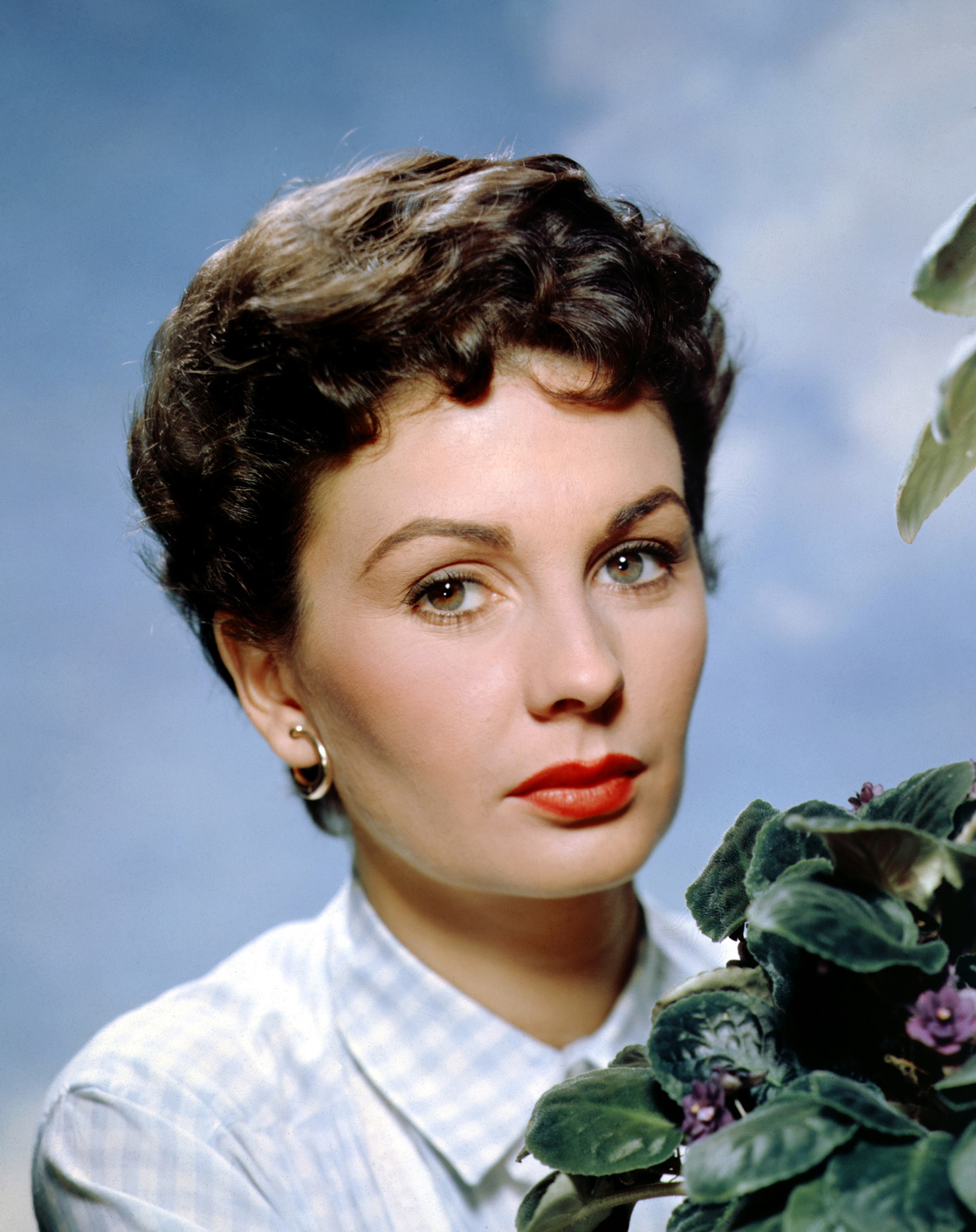 Picture of Jean Simmons