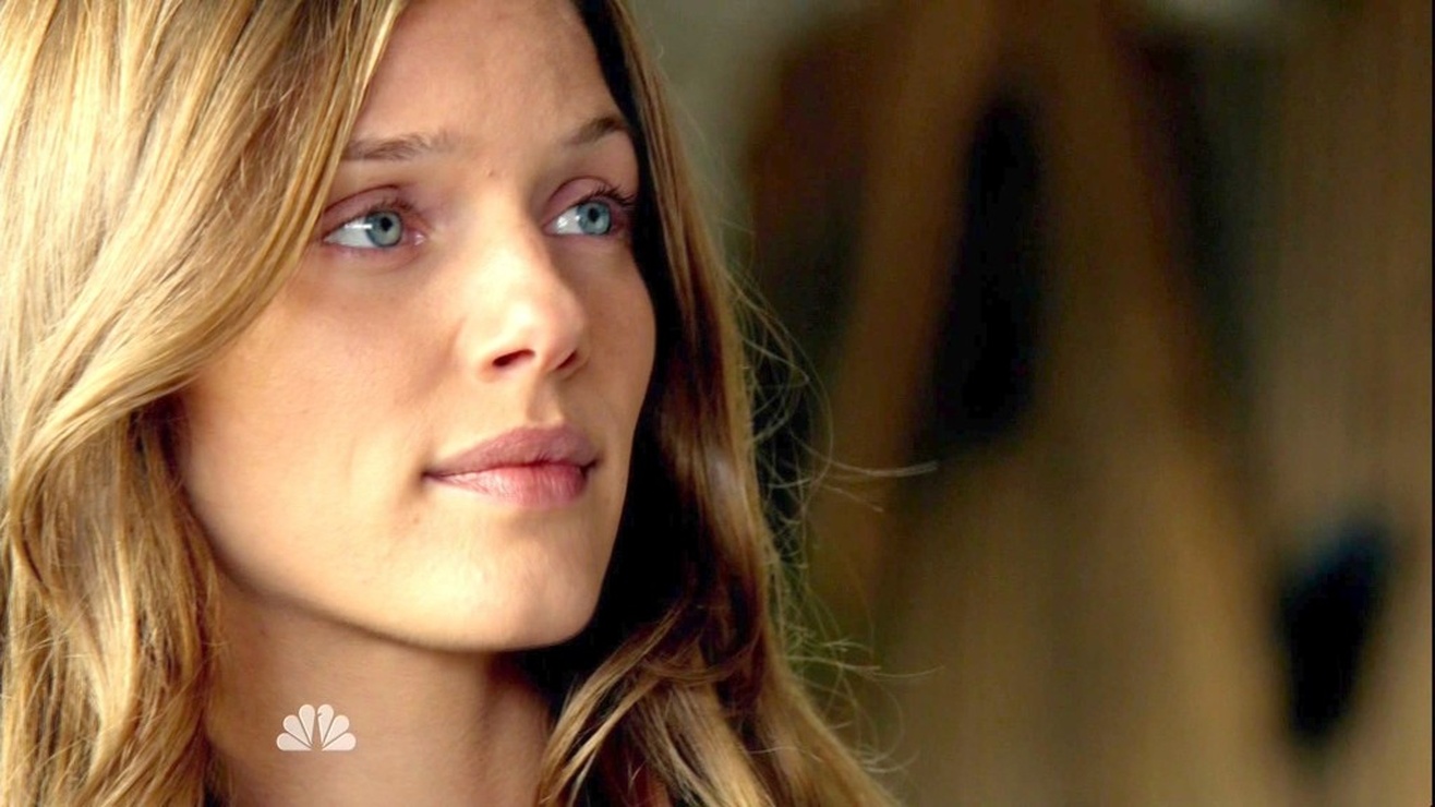 Picture of Tracy Spiridakos