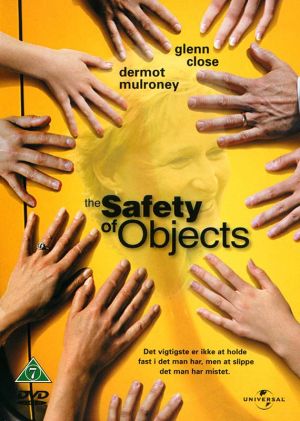 Image of The Safety of Objects