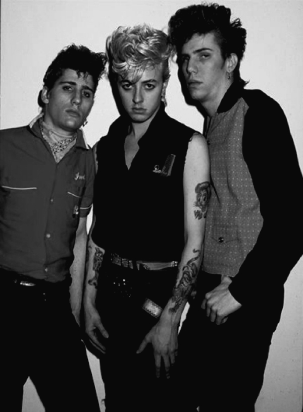 Stray Cats image