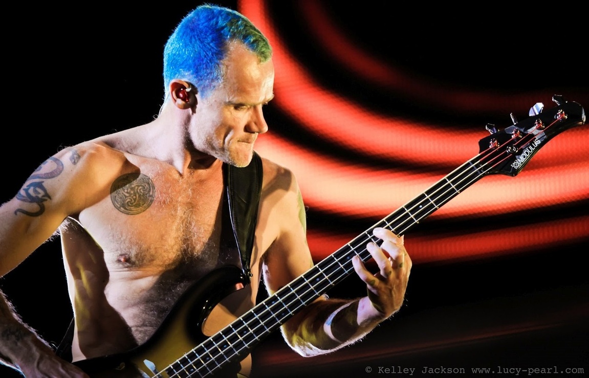 Picture of Flea