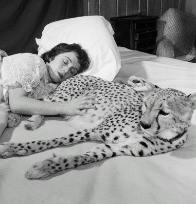 Phyllis Gordon image