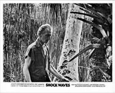 Picture of Shock Waves