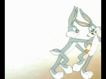 Picture of Rabbit Rampage (1955)