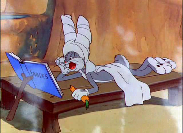 Picture of Rabbit Transit