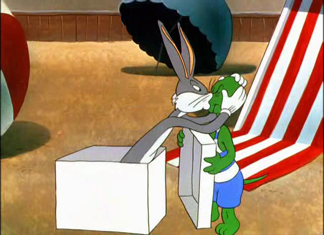 Picture of Rabbit Transit