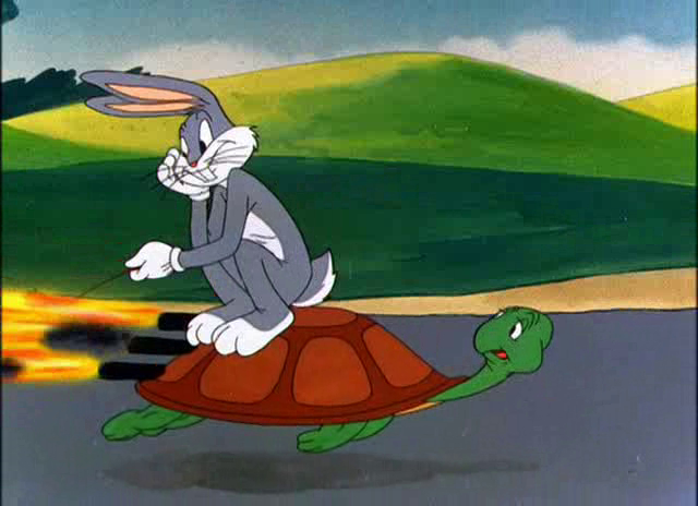 Rabbit Transit image