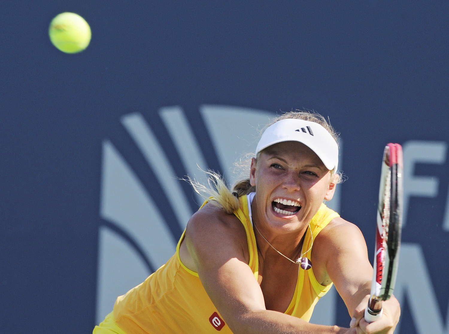 Picture of Caroline Wozniacki