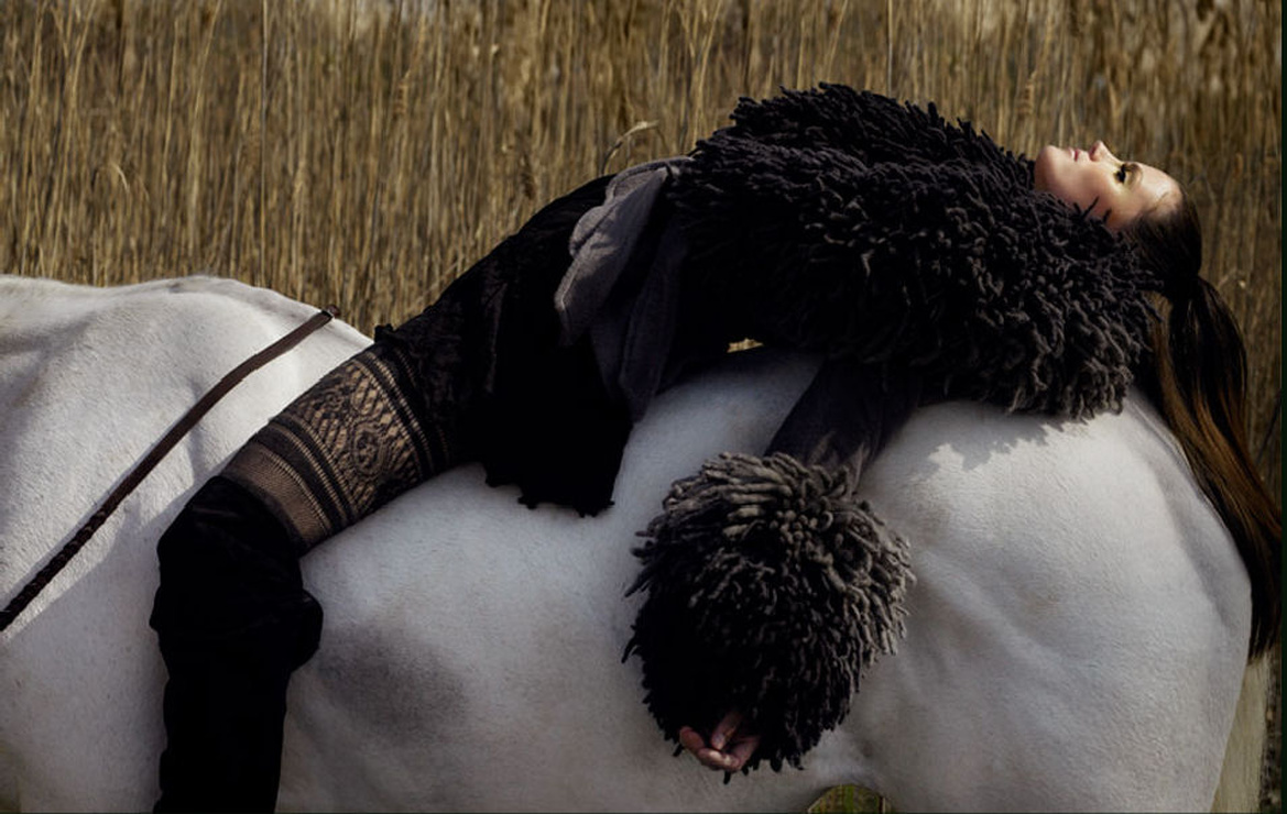 Picture of Mini Anden